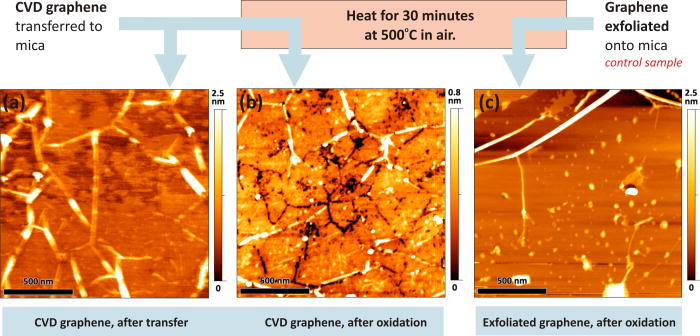 Revealing the grain structure of graphene grown by chemical vapor ...