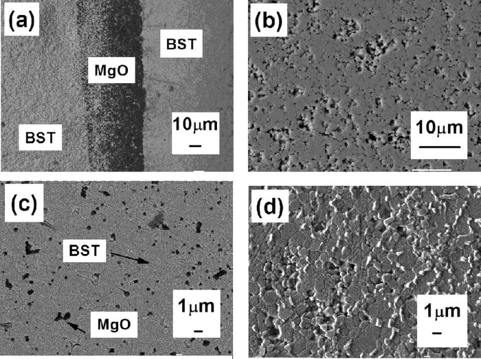 Dielectric and tunable properties of columnar Ba0.6Sr0.4TiO3-MgO ...