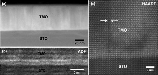 Influence of strain on the electronic structure of the TbMnO3/SrTiO3 ...