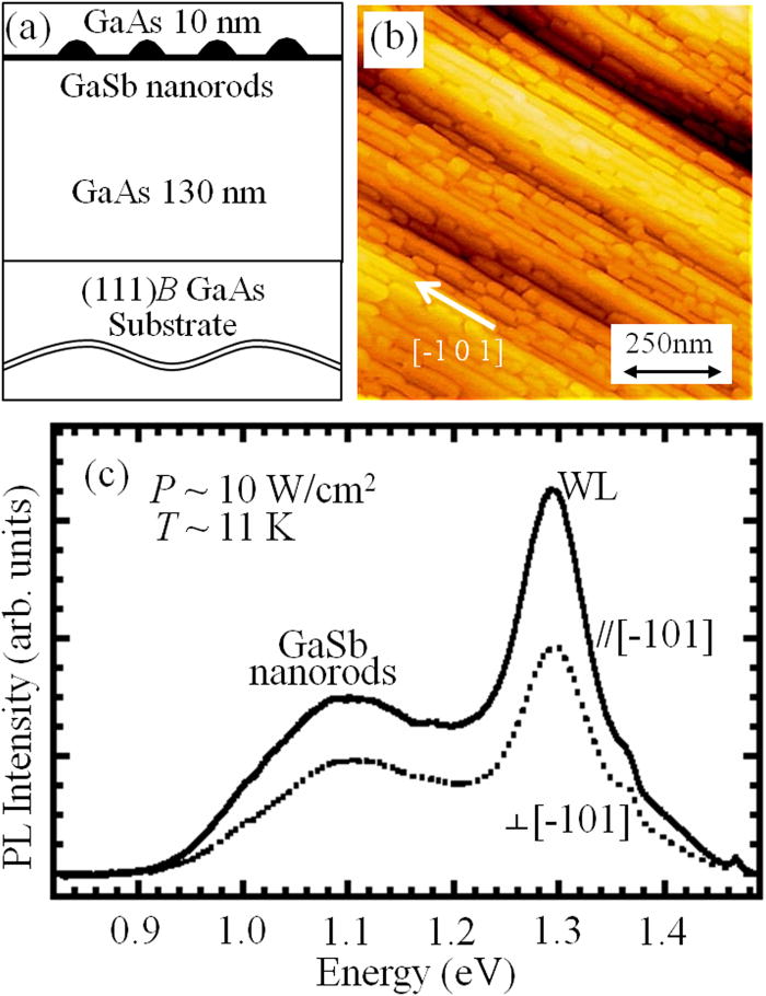Optical anisotropy of GaSb type-II nanorods on vicinal (111)B GaAs ...