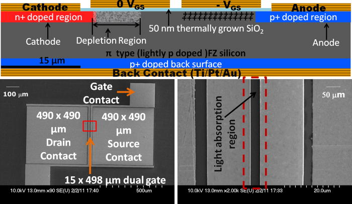 Electrically tuneable spectral responsivity in gated silicon ...