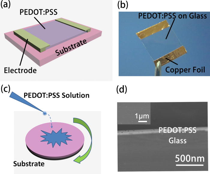 Poly(3,4-ethylenedioxythiophene):poly(styrenesulfonate)-based organic ...