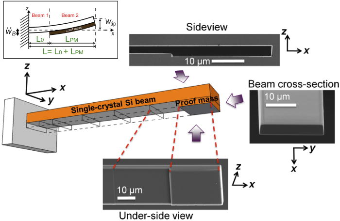 Size effect of flexible proof mass on the mechanical behavior of micron ...