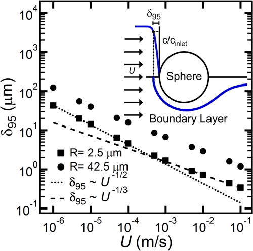 Flow-enhanced transient response in whispering gallery mode biosensors ...