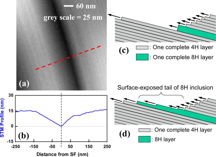 Dependence of spontaneous polarization on stacking sequence in SiC ...