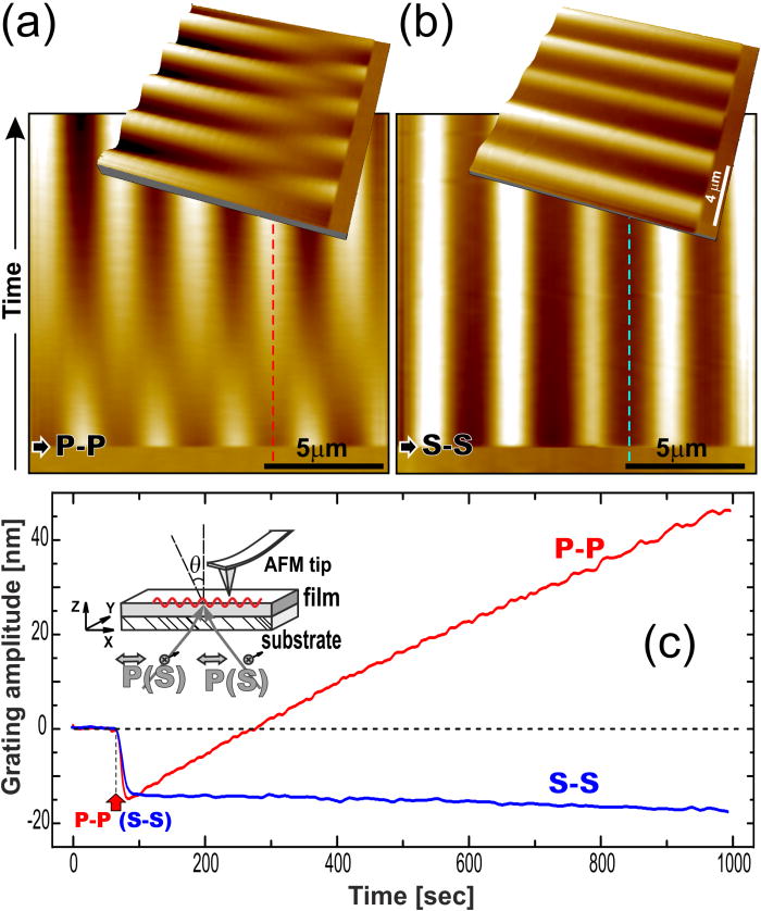 Photoinduced mass-transport based holographic recording of surface ...