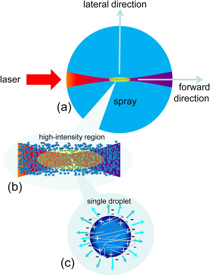 MeV negative ion generation from ultra-intense laser interaction with a water spray | Applied ...