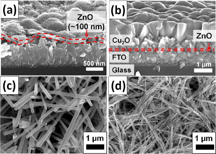 Nanowires improved charge separation and light utilization in metal ...