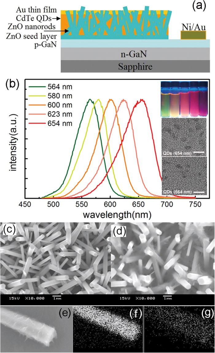 White light emission from CdTe quantum dots decorated n-ZnO nanorods/p-GaN light-emitting diodes ...