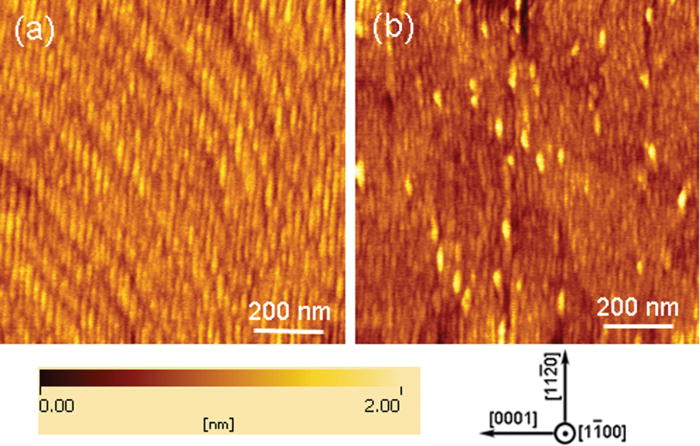 Formation of m-plane InGaN/GaN quantum dots using strain engineering of ...