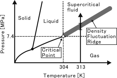 Measurements of the phase transition and the average length of the ...
