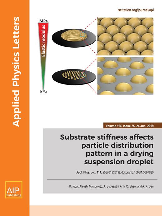 B-site disorder driven multiple-magnetic phases: Griffiths phase, re ...