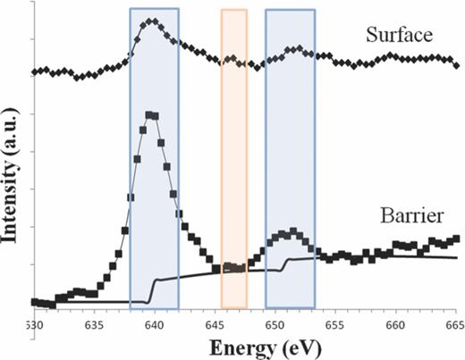 Scanning transmission electron microscopy investigations of self ...