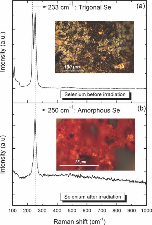 Green synthesis of selenium nanoparticles by excimer pulsed laser ...