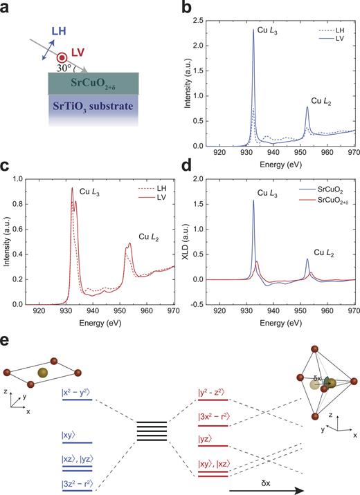 Structural and electronic properties of SrCuO2+δ thin films | APL ...