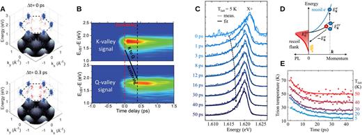 Exciton optics, dynamics, and transport in atomically thin ...