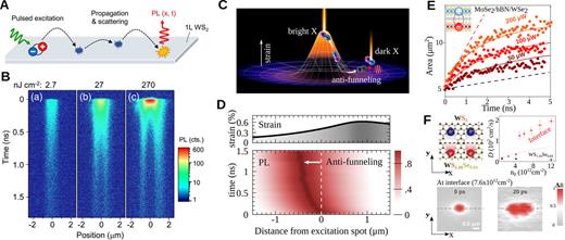 Exciton optics, dynamics, and transport in atomically thin ...