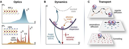 Exciton optics, dynamics, and transport in atomically thin semiconductors | APL Materials | AIP ...
