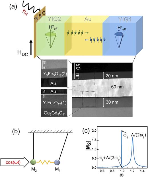 Magnetization dynamics in the YIG/Au/YIG magnon valve | APL Materials | AIP Publishing
