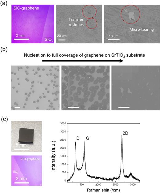 Atomic layer-by-layer etching of graphene directly grown on SrTiO3 ...