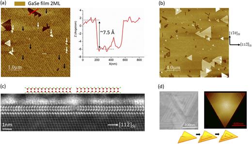 200 mm-scale growth of 2D layered GaSe with preferential orientation ...