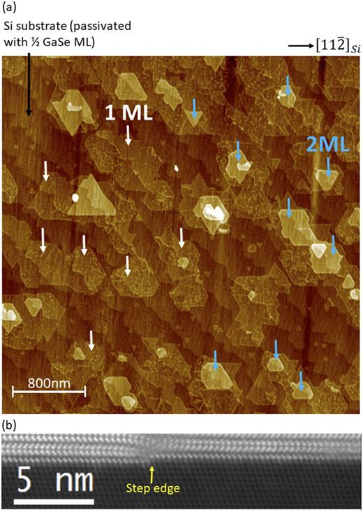 200 mm-scale growth of 2D layered GaSe with preferential orientation ...