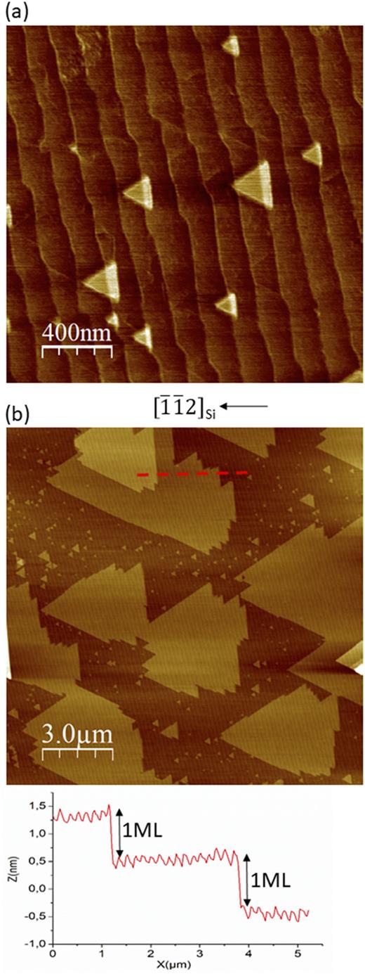 200 mm-scale growth of 2D layered GaSe with preferential orientation ...