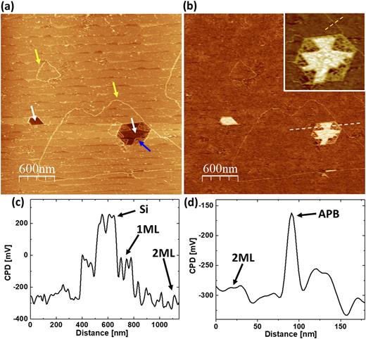 200 mm-scale growth of 2D layered GaSe with preferential orientation ...