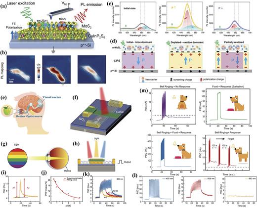 The rise of 2D materials/ferroelectrics for next generation photonics and optoelectronics ...