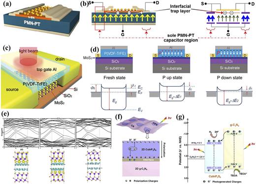 The rise of 2D materials/ferroelectrics for next generation photonics and optoelectronics ...