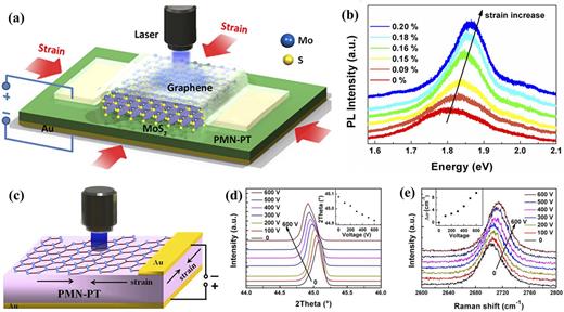 The rise of 2D materials/ferroelectrics for next generation photonics and optoelectronics ...