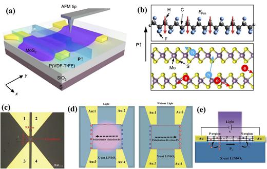The rise of 2D materials/ferroelectrics for next generation photonics and optoelectronics ...