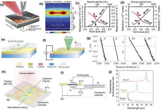 The rise of 2D materials/ferroelectrics for next generation photonics and optoelectronics ...