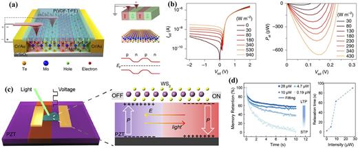 The rise of 2D materials/ferroelectrics for next generation photonics and optoelectronics ...