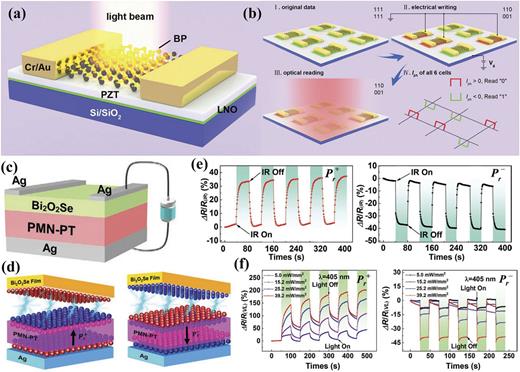 The rise of 2D materials/ferroelectrics for next generation photonics and optoelectronics ...