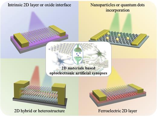 A minireview on 2D materials-enabled optoelectronic artificial synaptic ...