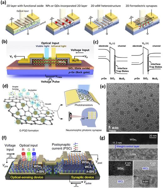 A minireview on 2D materials-enabled optoelectronic artificial synaptic devices | APL Materials ...