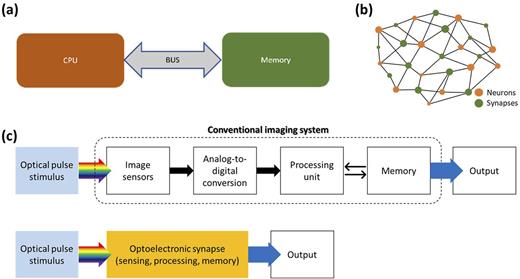 A minireview on 2D materials-enabled optoelectronic artificial synaptic devices | APL Materials ...