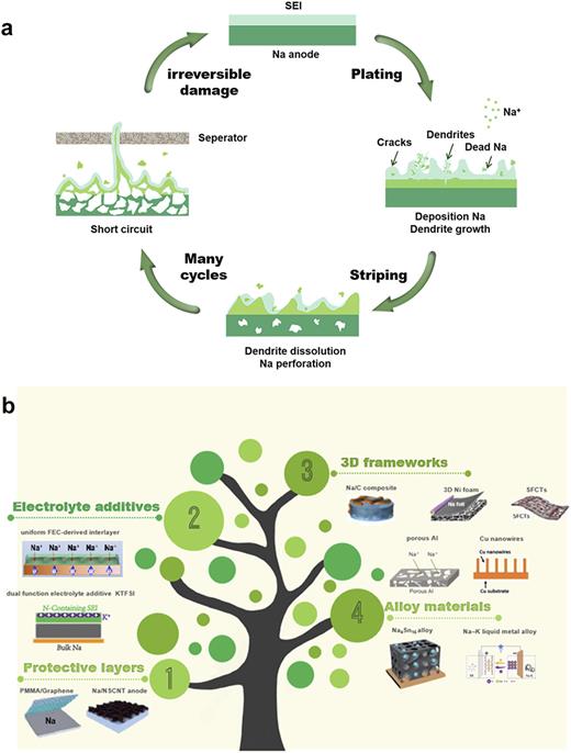 The current status of sodium metal anodes for improved sodium batteries ...