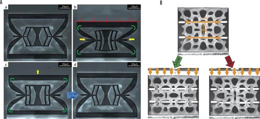 The extreme mechanics of viscoelastic metamaterials | APL Materials ...