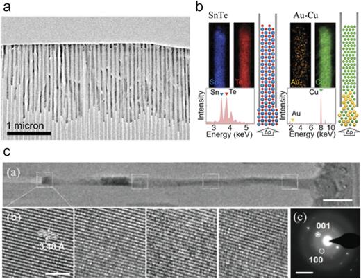 Nanomolding of topological nanowires | APL Materials | AIP Publishing