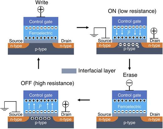 Non-volatile materials for programmable photonics | APL Materials | AIP Publishing