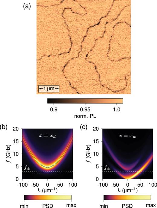 Single spin magnetometry and relaxometry applied to antiferromagnetic ...