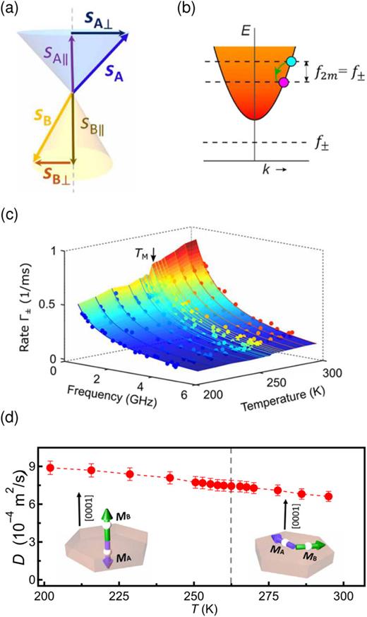 Single spin magnetometry and relaxometry applied to antiferromagnetic ...