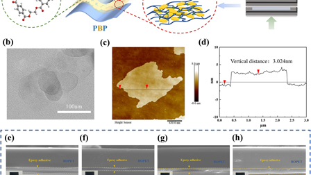Sandwich-structured BOPET films with high energy density and low loss ...