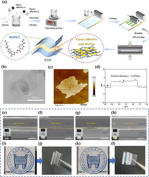 Sandwich-structured BOPET films with high energy density and low loss ...