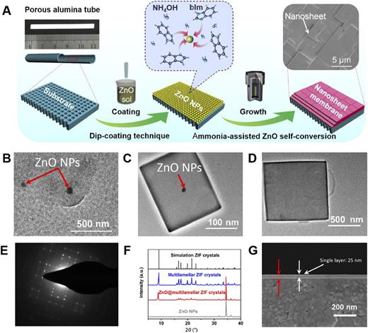 Towards ultrathin metal-organic frameworks membranes for high-performance separation | APL ...
