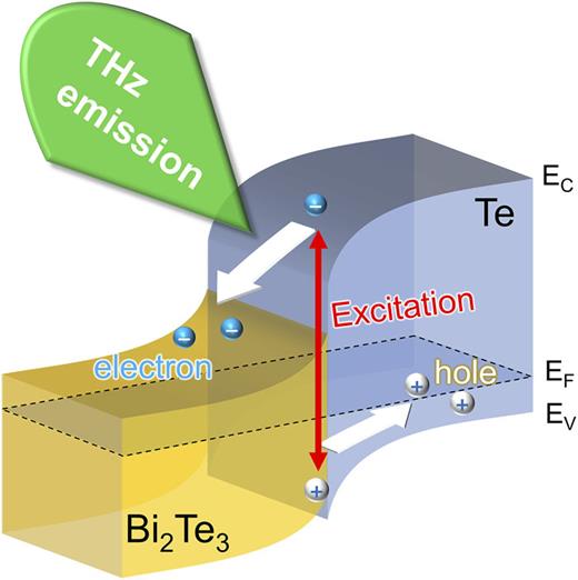 Probing photocarrier dynamics in a Bi2Te3–Te eutectic p–n junction with ...