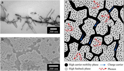 Recent advances in silicon-based nanostructures for thermoelectric ...