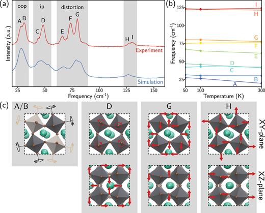 Understanding the phase transition mechanism in the lead halide ...